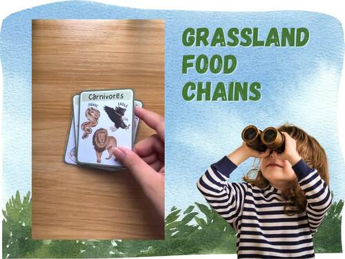 Grassland Food Chain Unit Study by Life Blueprints | TPT