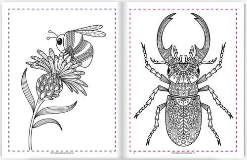 Canadian Creative Colouring: Animals by Chalkboard Publishing | TPT