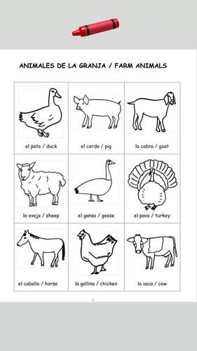 Printable Bilingual Picture Dictionary Español e Inglés / Spanish and ...