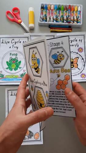Life Cycle of a Butterfly,Bee,Frog,Chicken and Plant Craft Spring Science