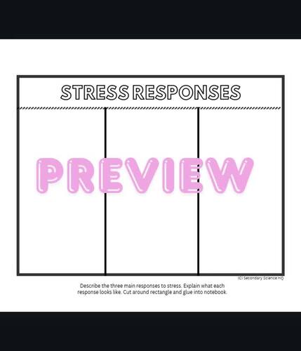 Handling Stress, Loss, and Grief Health Interactive Notebook - 9 Foldables