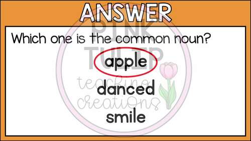Common Nouns PowerPoint - Find the Common Noun by Pink Tulip Teaching ...