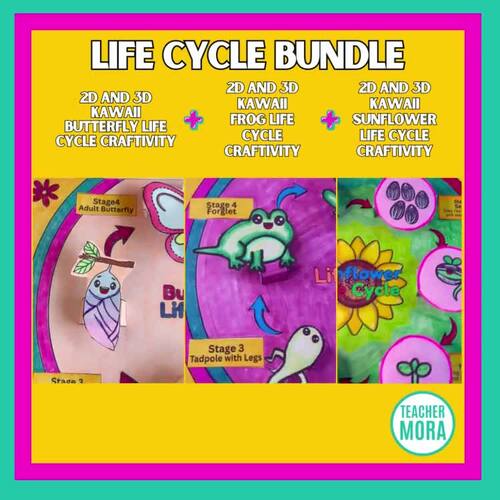 2D & 3D Life Cycle Bundle | Butterfly + Frog + Sunflower | Science Crafts