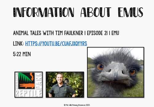 Edward The Emu Art Lesson | Line Effect | Emu Face Template | PDF Slides