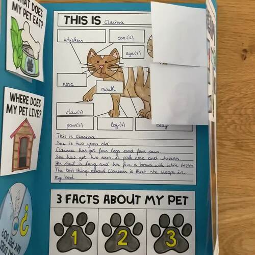 MY DREAM PET - Lapbook by My Teaching Factory | TPT