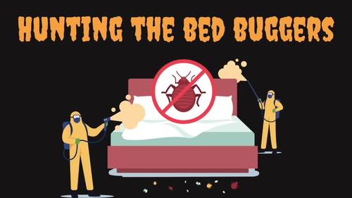 EFG D-String Songs - Beginning Strings on the D String (Teacher Edition)