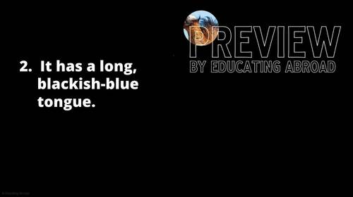 Digital Animal Guessing Game | Context Clues & No-Prep Fun Friday Activity