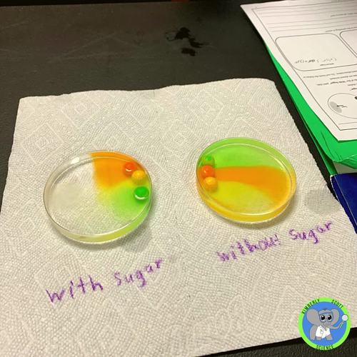 Candy Experiment | Rainbow Diffusion Science | Dissolving Molecular ...