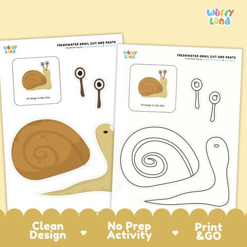 Freshwater Snail Cut and Paste Activity | Mollusk Anatomy & Coloring Page