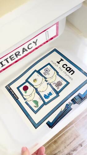 NOCTURNAL ANIMALS ACTIVITIES | LITERACY AND MATH CENTERS | TPT
