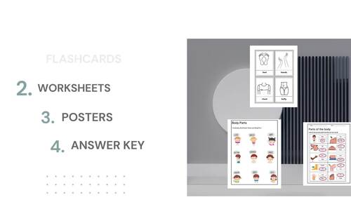 Body Parts Worksheets Flashcards Poster Vocabulary Pictures Memory Game