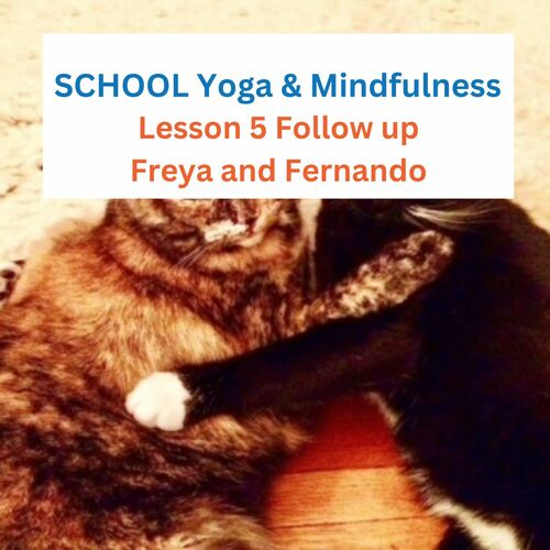 Lesson 5 - Follow-up by Smiling Calm Hearts | TPT