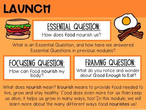 Wit and Wisdom Grade 2 Module 4 BUNDLE (all lessons) by Sunshine and ...