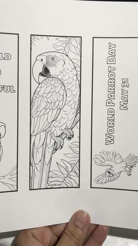 realistic parrot coloring pages