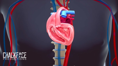 Heart Valve Replacement - Medical Animation by Chalkface Productions