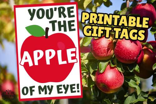 Apple of My Eye Printable Gift Tags | Back to School Teacher Student ...