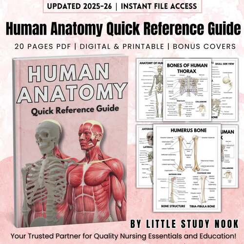 Human Anatomy Quick Reference Guide 2025‑26 – Body Systems, Bones & Organs