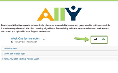 UMS Ally UserTraining, August 2022 - University of Maine System