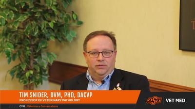 Vet Med Faces of Research: Dr. Timothy Snider - Video | Oklahoma State ...