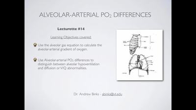 Alveolar Gas Equation and the Alveolar-Arterial PO2 difference (Ch14 ...