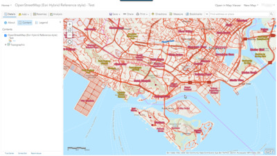 Edit a Basemap Reference Layer in ArcGIS Online Map Viewer Classic ...