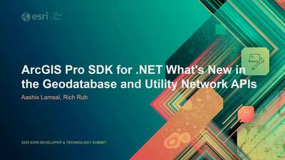 ArcGIS Pro SDK for .NET: What's New in the Geodatabase and Utility ...