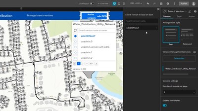 Manage Your Branch Versions with ArcGIS Experience Builder - Esri ...