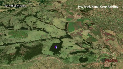 Crop Raiding Elephants - Esri Videos: GIS, Events, ArcGIS Products ...