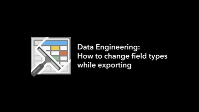 Data Engineering: How to change field types while exporting - Esri ...