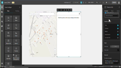 Prevent Details in the Feature Info Widget From Displaying When Launching an Experience in ...