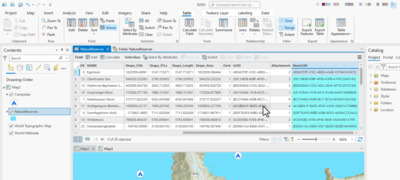 Populate a GUID Field with Values from a Text Field in ArcGIS Pro ...