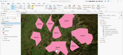 Remove Leading Zereos in Labels Using Arcade or Python Expressions in ArcGIS Pro - Esri Videos ...