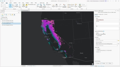 Share a raster dataset as a web imagery layer from ArcGIS Pro to ArcGIS ...