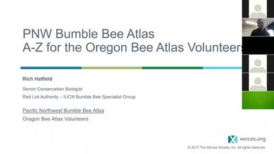 How Oregon Bee Atlas Volunteers can Contribute to the PNW Bumble Bee ...