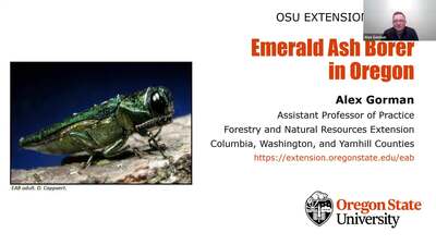 **Emerald Ash Borer: the pest, the signs, the symptoms - 2022 Fall ...