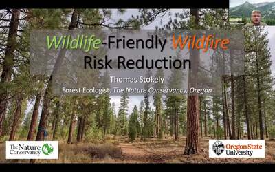 Wildlife Friendly Wildfire Risk Reduction - OSU MediaSpace