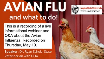 The Avian Flu and What to Do! - OSU MediaSpace