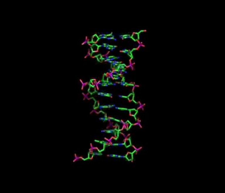 DNA stick model - Edutube