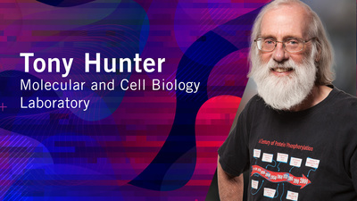 From Then to When | Meet Salk Scientists | Tony Hunter - Salk Institute
