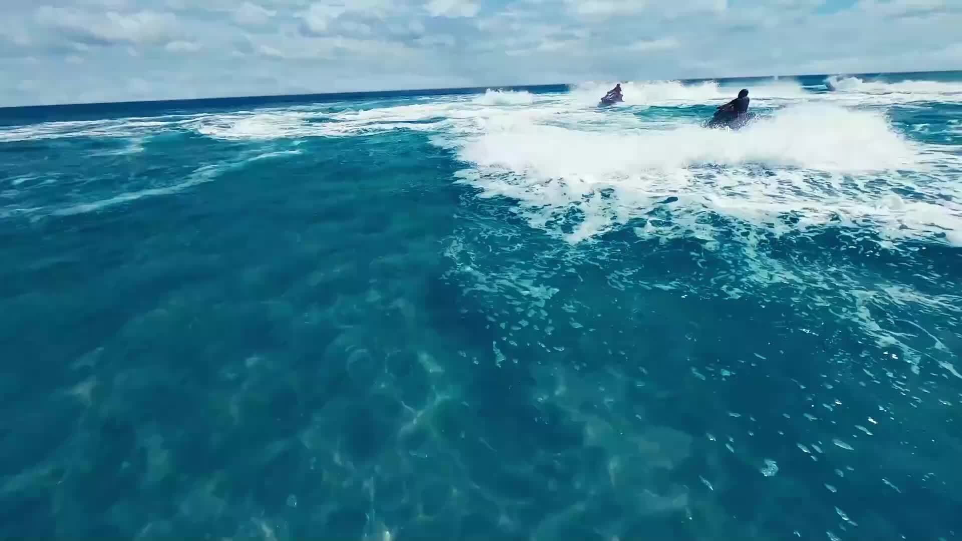 La Ola | FreeTV FAST