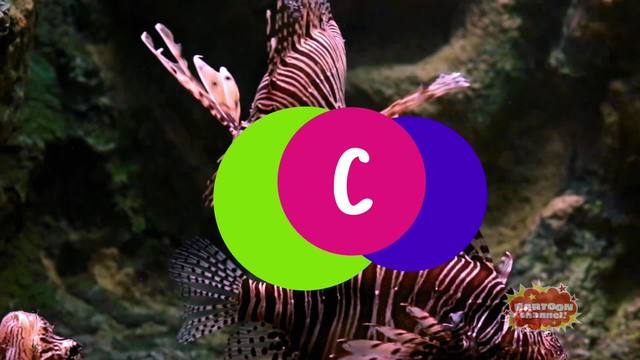 Kids Planet | Kartoon Channel