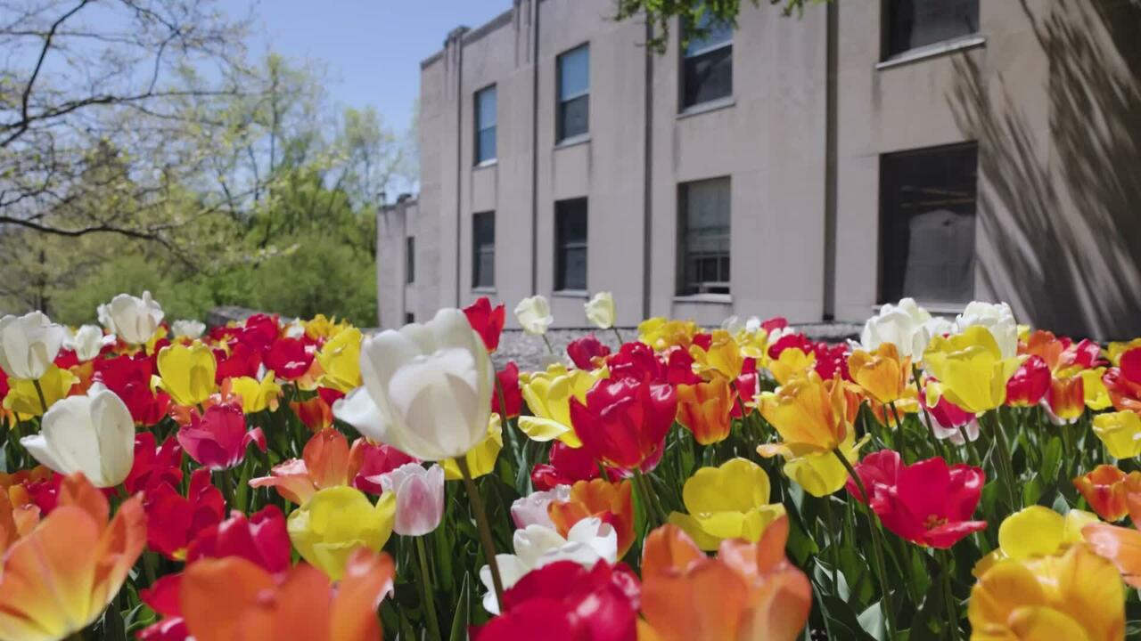 About | Cornell University