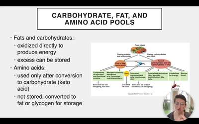 Ch 24 X - Carb, Lipid, and Protein Pools - IWU MediaCentral