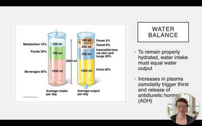 Ch 26 II - Water Regulation - IWU MediaCentral