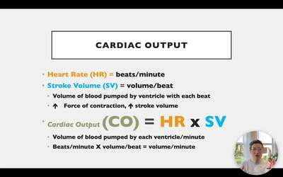 Ch 18 VII - Cardiac Output - IWU MediaCentral