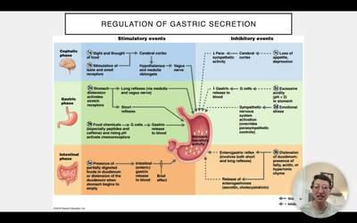 Ch 23 VI - Regulation of Gastric Secretion - IWU MediaCentral