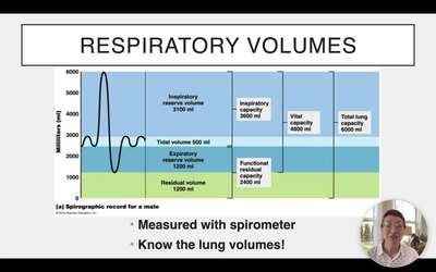 Ch 22 VI - Lung Volumes - IWU MediaCentral