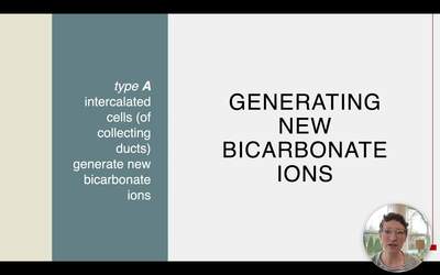 Ch 26 IX - Bicarbonate Generation and Secretion - IWU MediaCentral