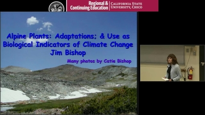 Alpine Plants: Their Adaptations & Use as Biological Indicators of ...