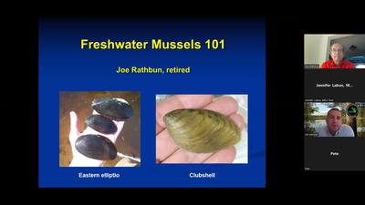 MILC Session 8 Native Mussel - MSU MediaSpace